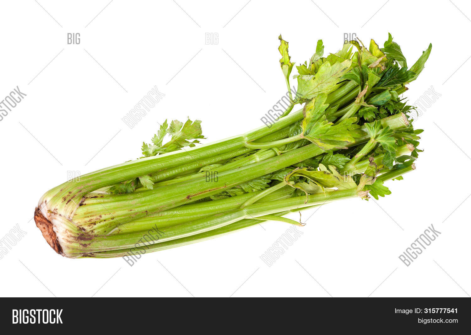 Fresh Celery Stalk Image & Photo (Free Trial) | Bigstock