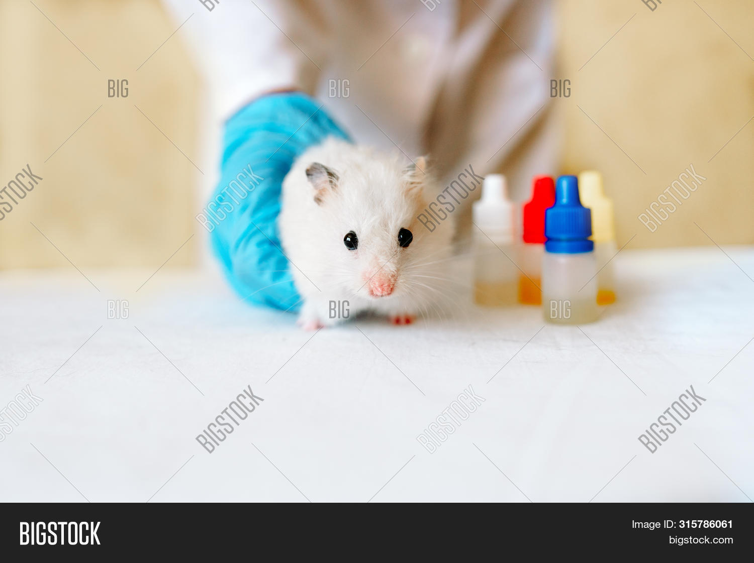 Hands Owner Holding Image & Photo (Free Trial) | Bigstock