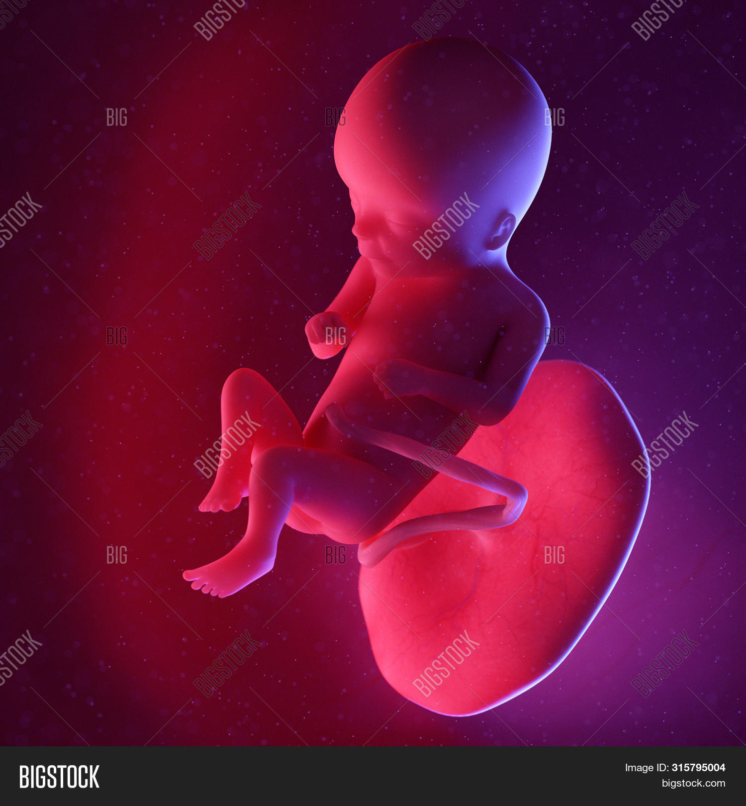 3d Rendered Medically Image & Photo (Free Trial) | Bigstock