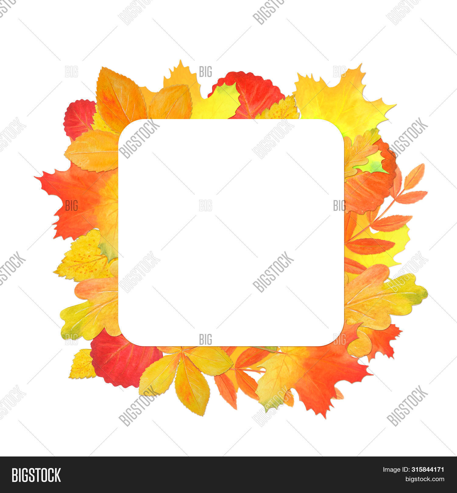 Colorful Bright Frame Image & Photo (Free Trial) | Bigstock
