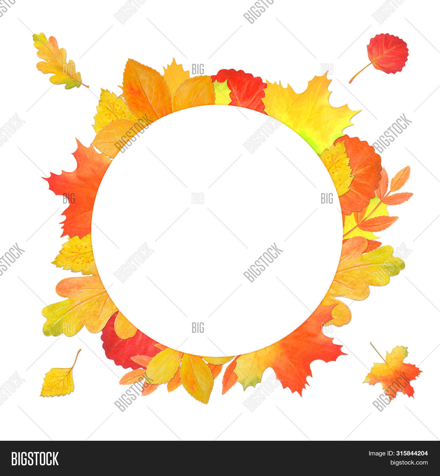 Colorful Bright Frame Image & Photo (Free Trial) | Bigstock