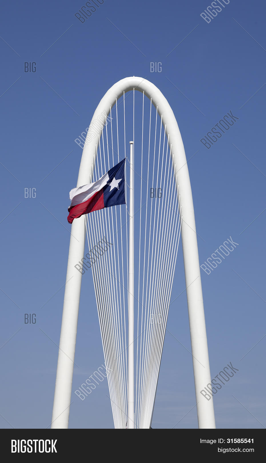 Arch Texas Flag - Image & Photo (Free Trial) | Bigstock