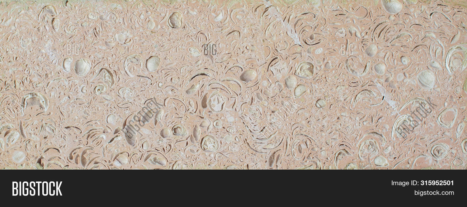 Marble Texture Wall Image & Photo (Free Trial) | Bigstock