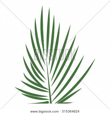 Areca Palm Leaf Icon Vector & Photo (Free Trial) | Bigstock