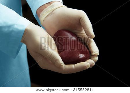 Kidney Transplant Image & Photo (Free Trial) | Bigstock