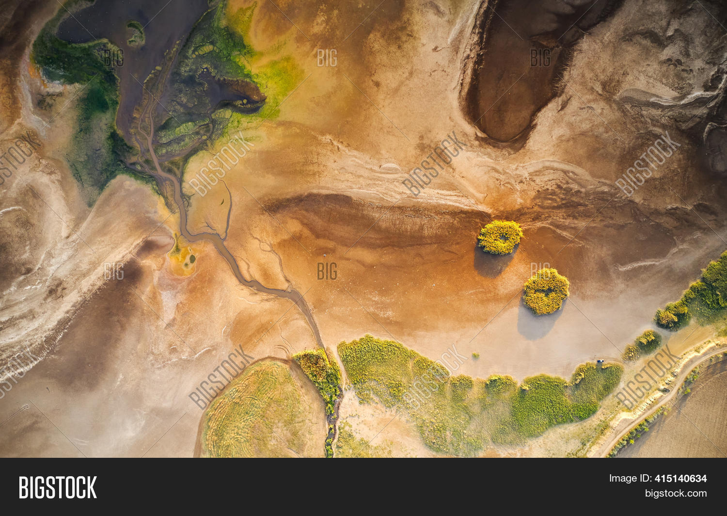 Dry Lake Swamp Process Image & Photo (Free Trial) | Bigstock