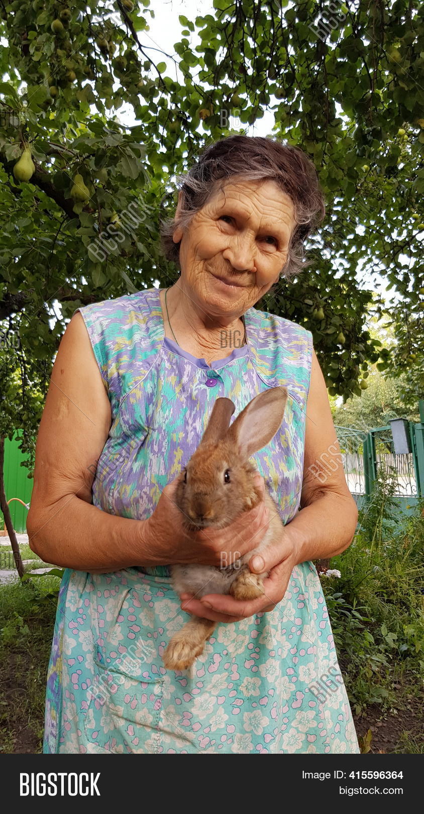 Senior Woman Holds Image & Photo (Free Trial) | Bigstock