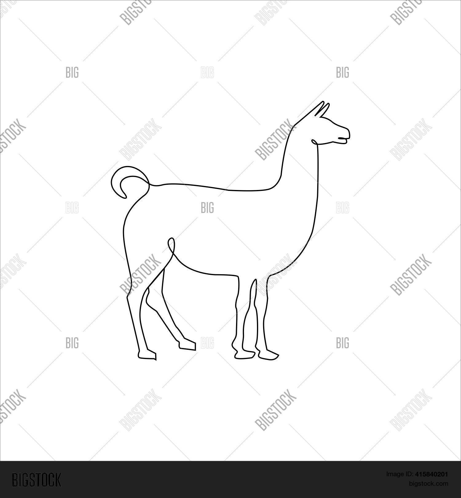 Llama Outline Drawing Vector & Photo (Free Trial) | Bigstock