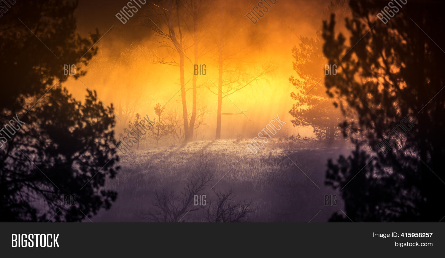 Beautiful Diffused Image & Photo (Free Trial) | Bigstock