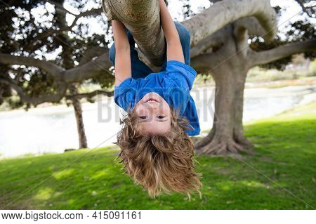 Little Kid Boy On Tree Image & Photo (Free Trial) | Bigstock
