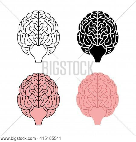 Healthy Human Brain Vector & Photo (Free Trial) | Bigstock