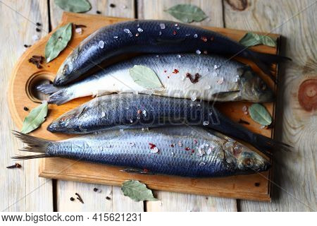 Spicy Salted Herring. Image & Photo (Free Trial) | Bigstock