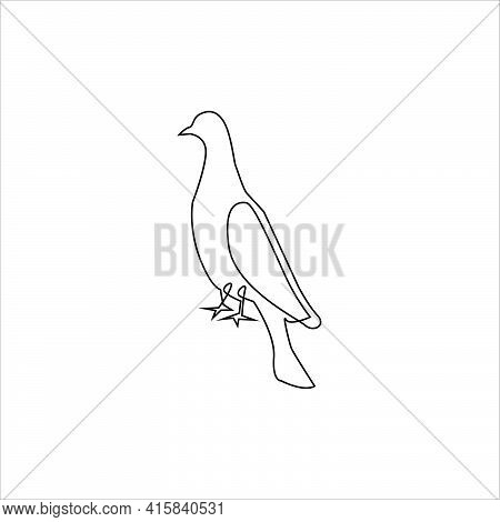 Line Drawing Pigeon Vector & Photo (Free Trial) | Bigstock