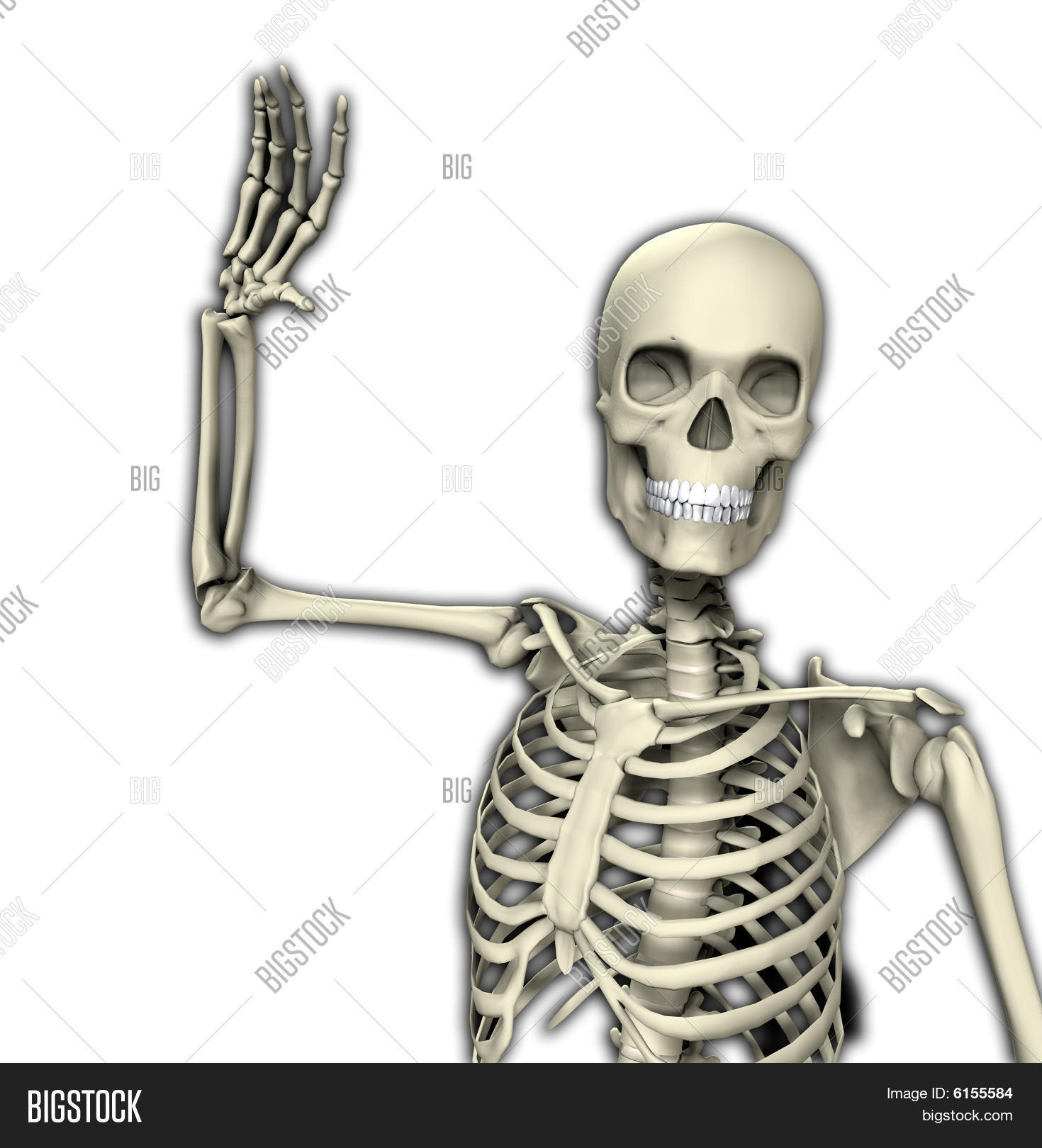 Skeleton Waving Image & Photo (Free Trial) | Bigstock