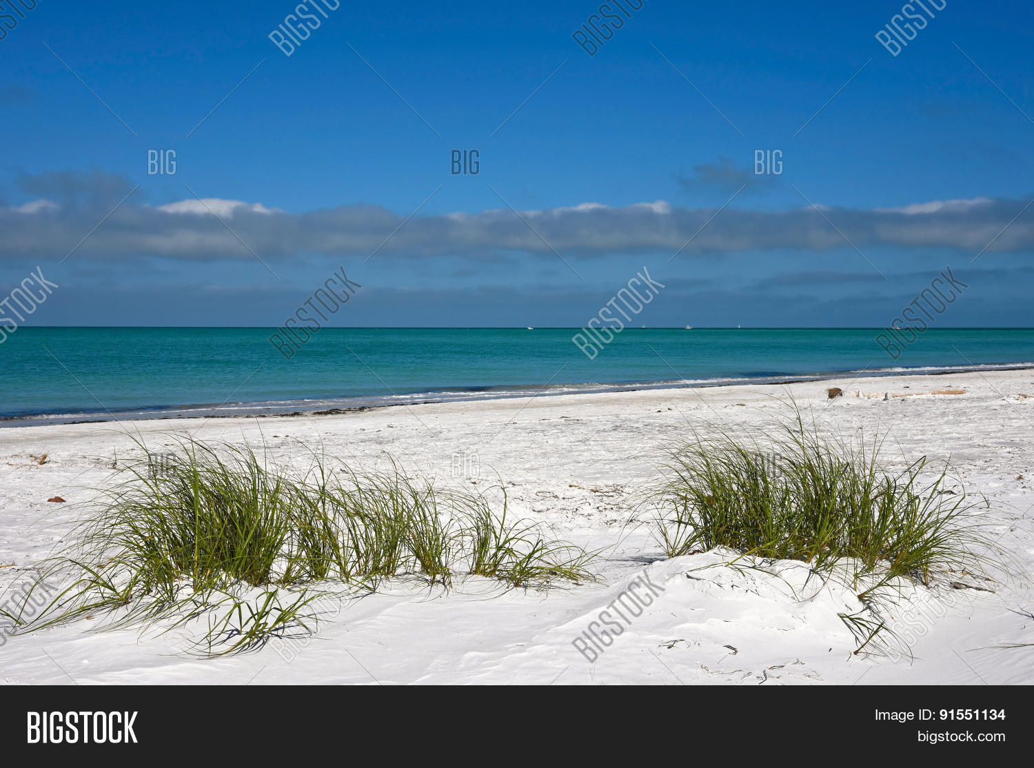 Beautiful Florida Image & Photo (Free Trial) | Bigstock
