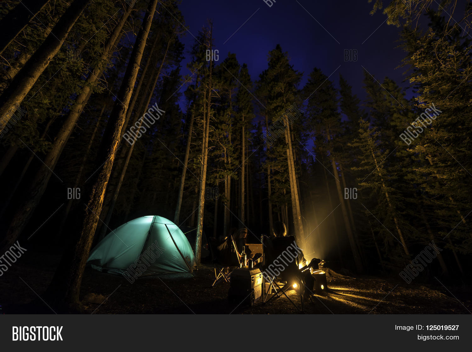 Camping Forest Image & Photo (Free Trial) | Bigstock