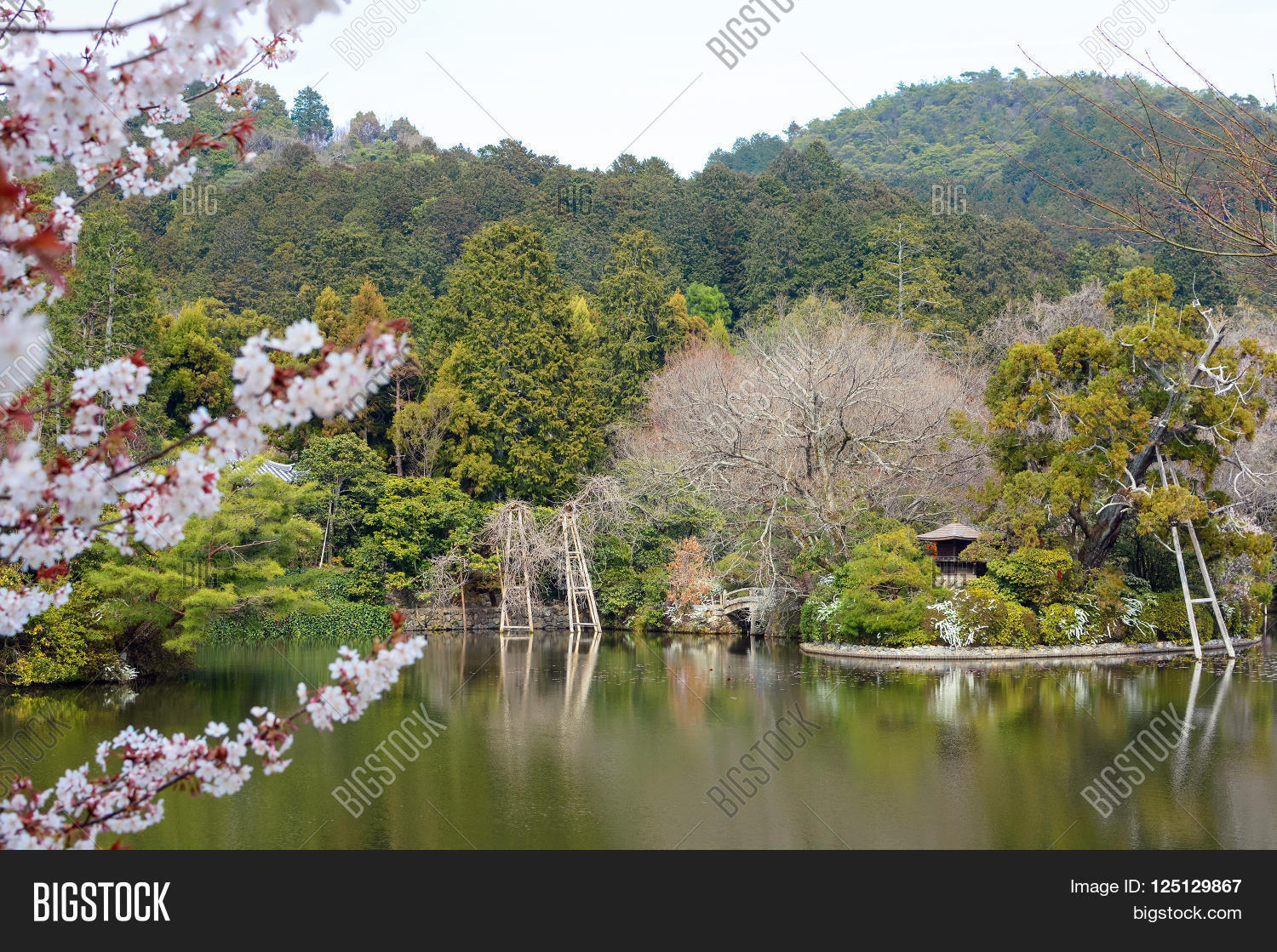 Lush Pond Zen Garden Image & Photo (Free Trial) | Bigstock