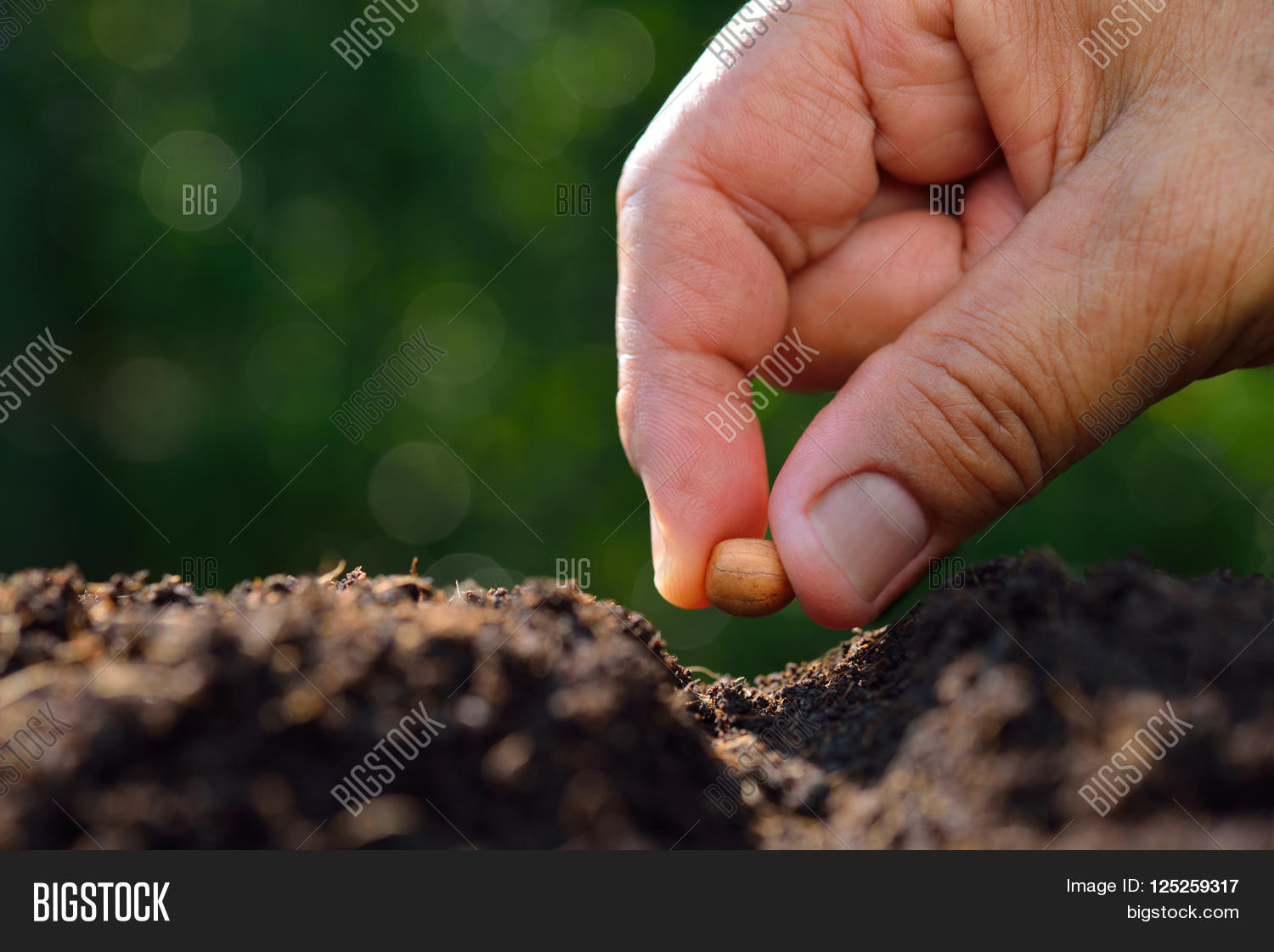 Closeup Farmer's Hand Image & Photo (Free Trial) | Bigstock