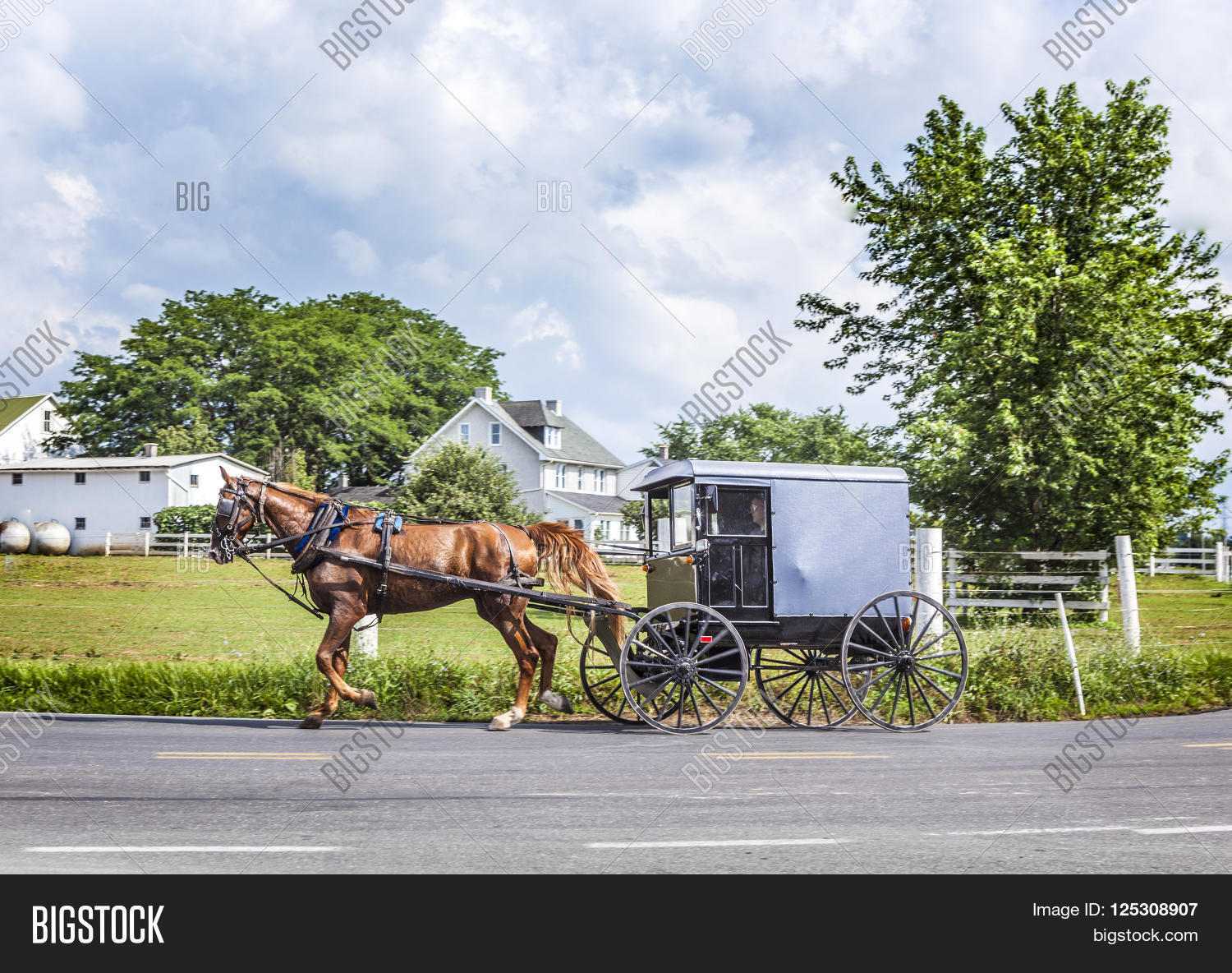 Horse Pulling Cart Image & Photo (Free Trial) | Bigstock