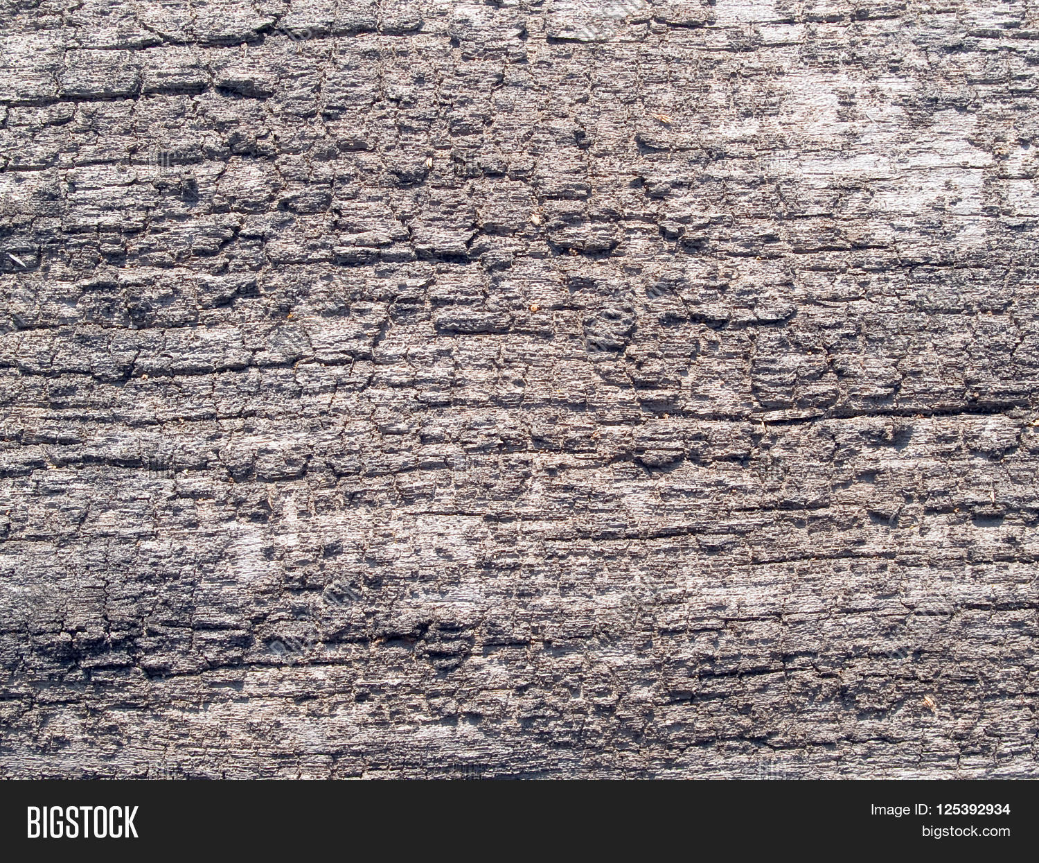 Dry Driftwood Texture Image & Photo (Free Trial) | Bigstock