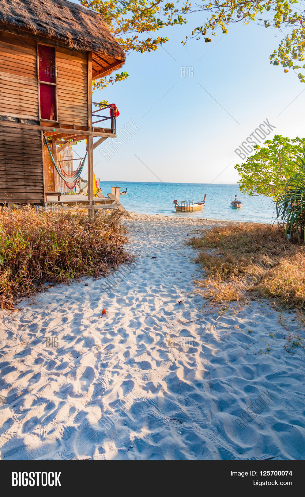 Beautiful Morning Image & Photo (Free Trial) | Bigstock