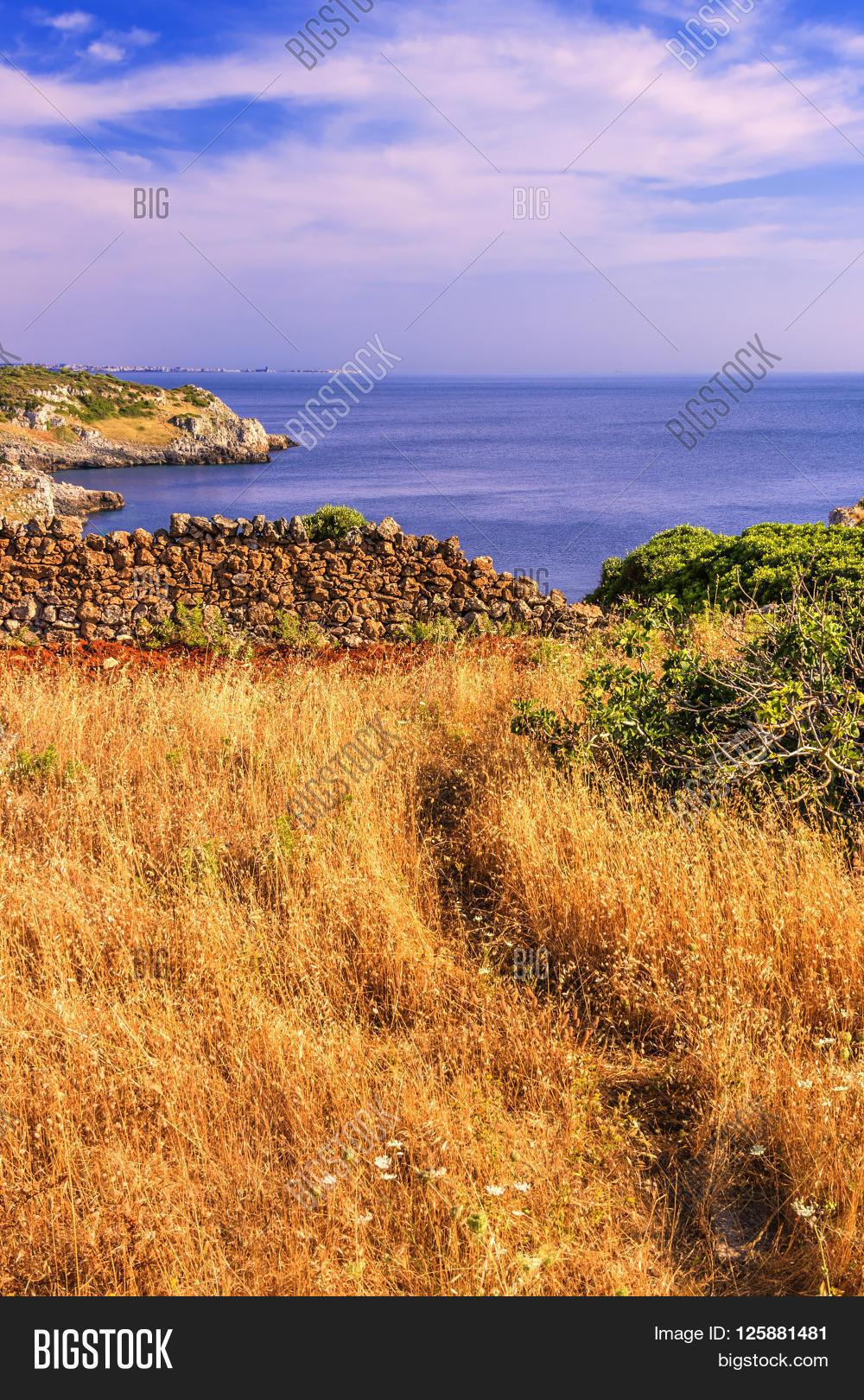 SUMMER SEASCAPE. Image & Photo (Free Trial) | Bigstock