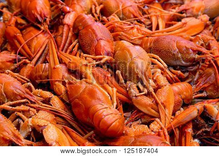 Closeup Boiled Craw Image & Photo (Free Trial) | Bigstock