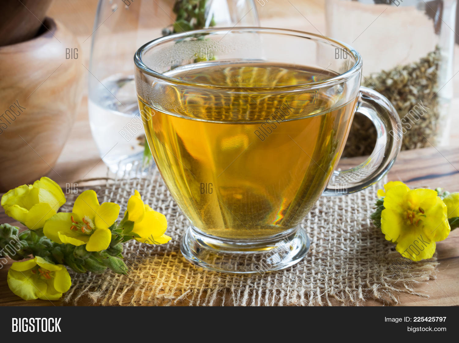 Cup Mullein (verbascum Image & Photo (Free Trial) | Bigstock