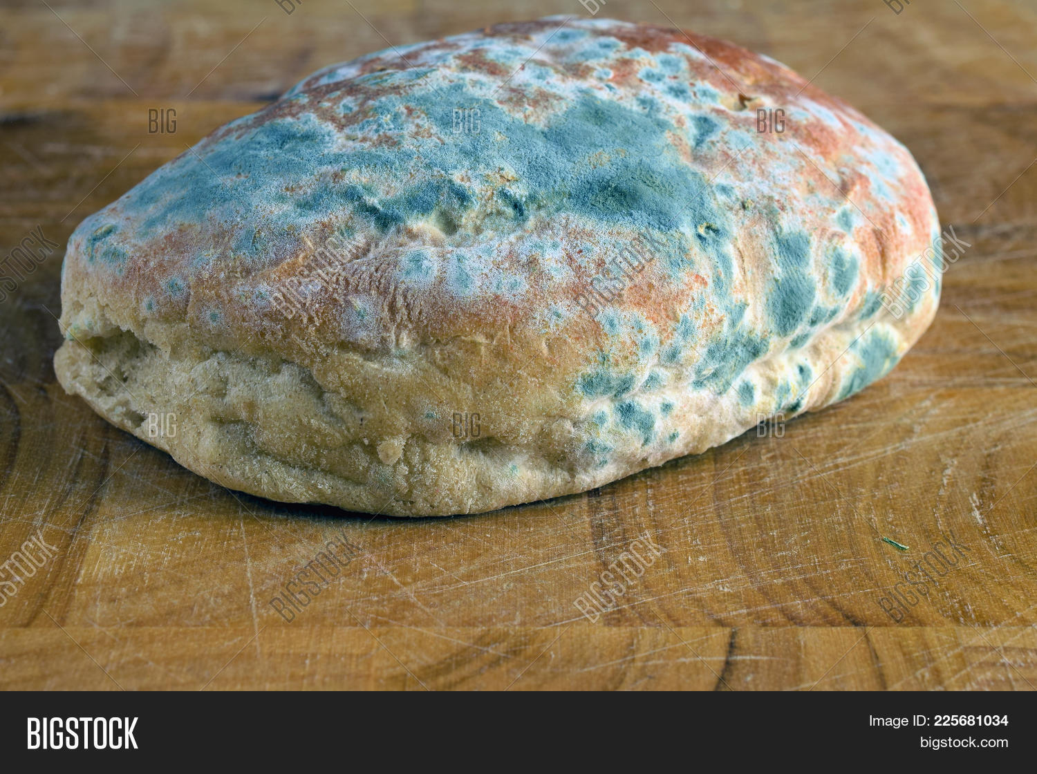 Mold On Bread. Best Image & Photo (Free Trial) | Bigstock