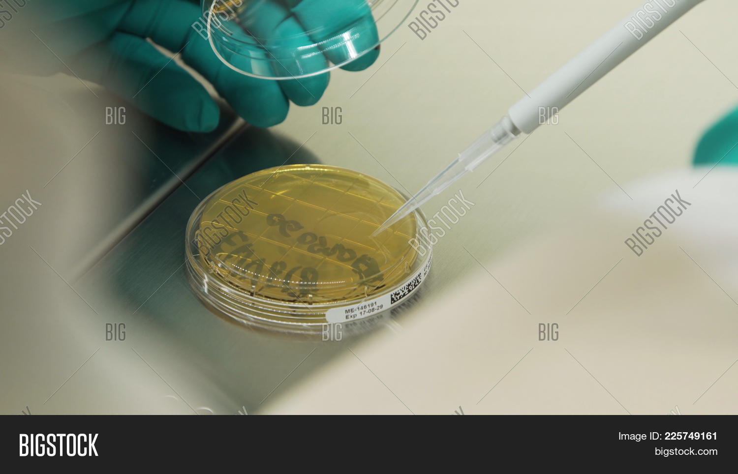 Microbiologist Image & Photo (Free Trial) | Bigstock