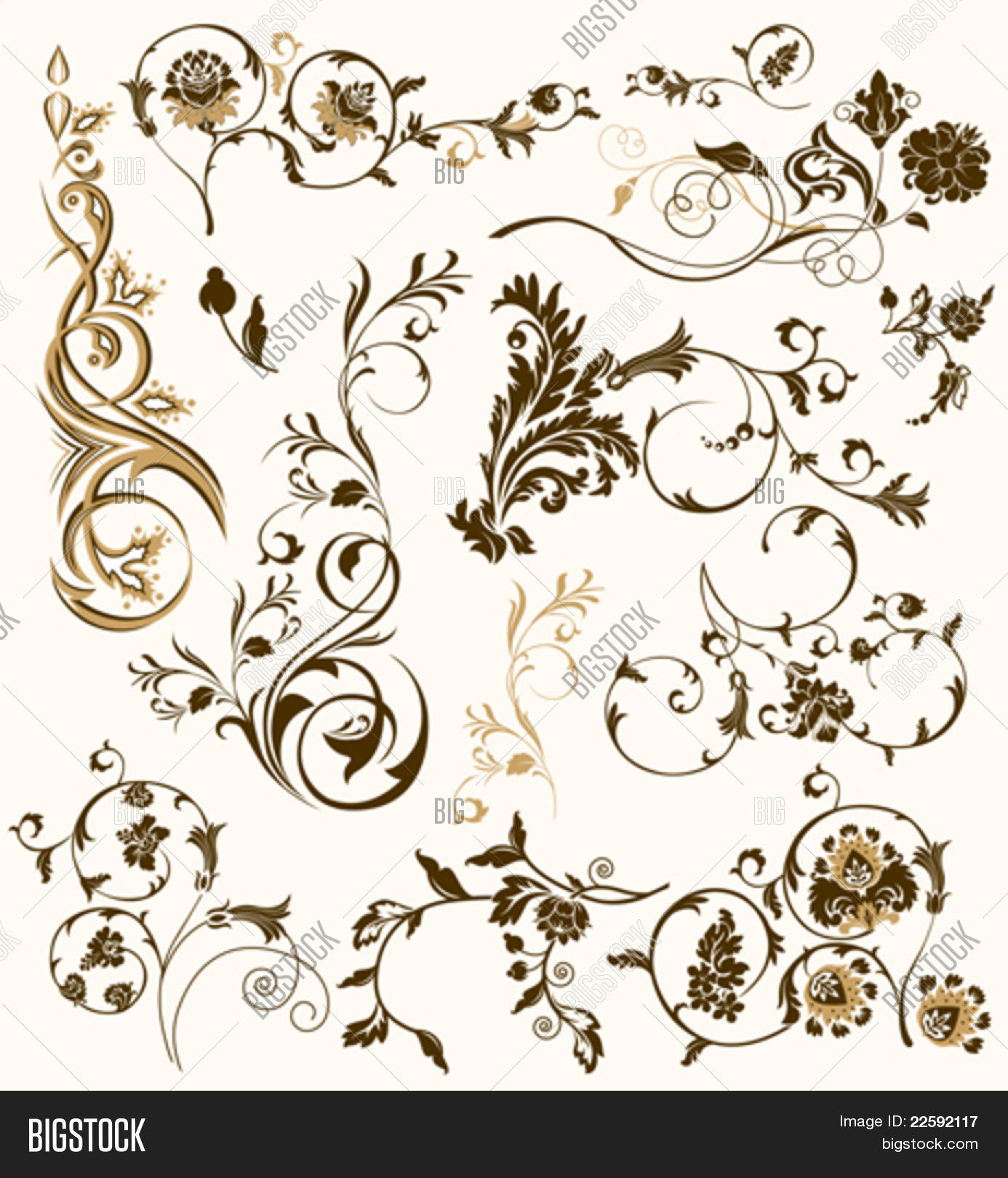 Set Design Floral Vector & Photo (Free Trial) | Bigstock