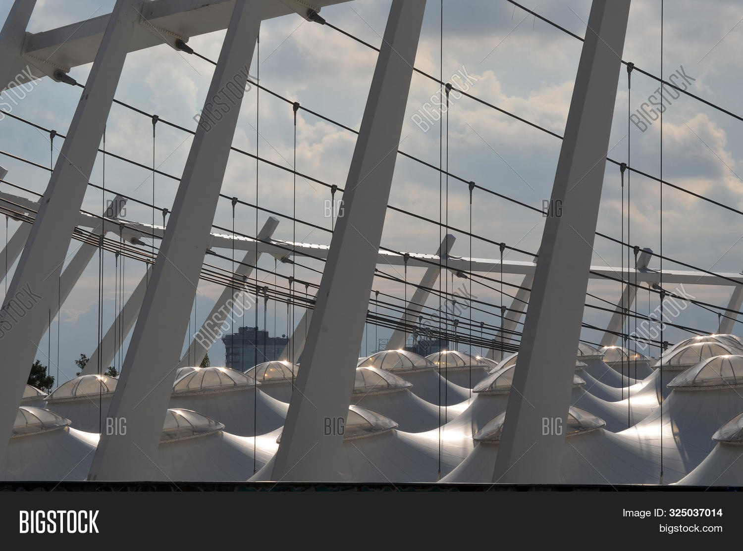 Stadium Cover Image & Photo (Free Trial) | Bigstock