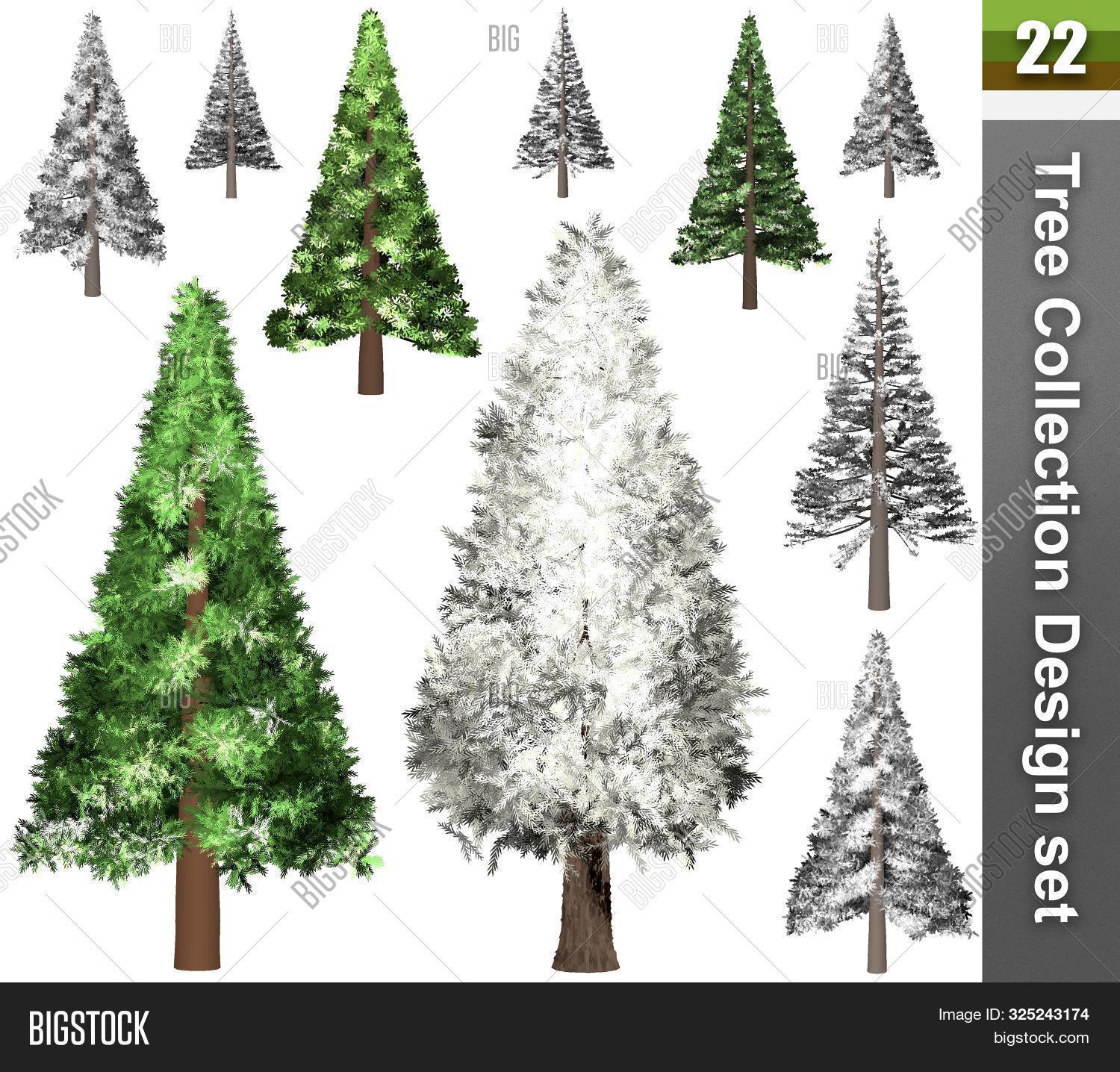 Tree Correction Design Image & Photo (Free Trial) | Bigstock