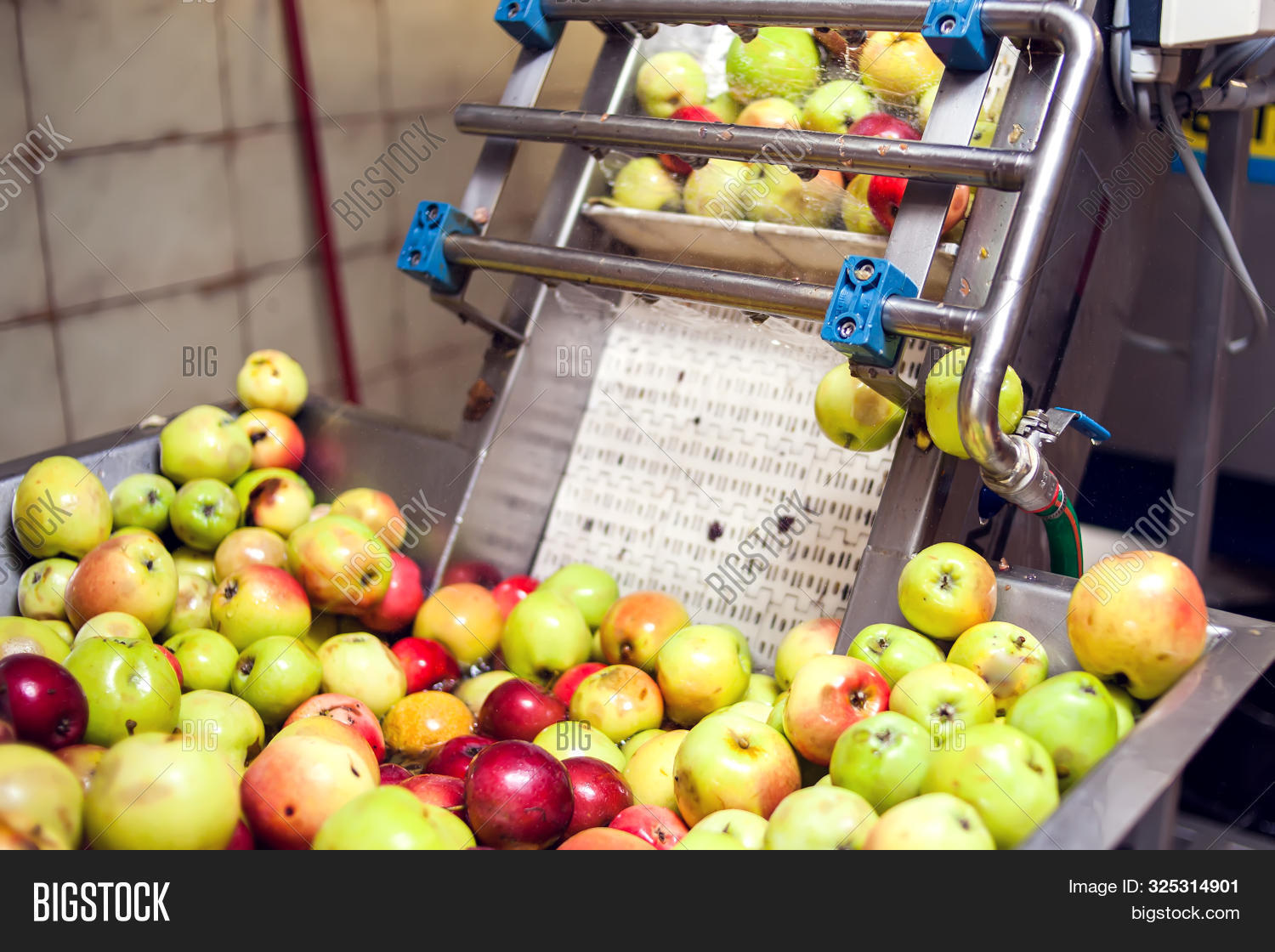 Processing Apples Image & Photo (Free Trial) | Bigstock