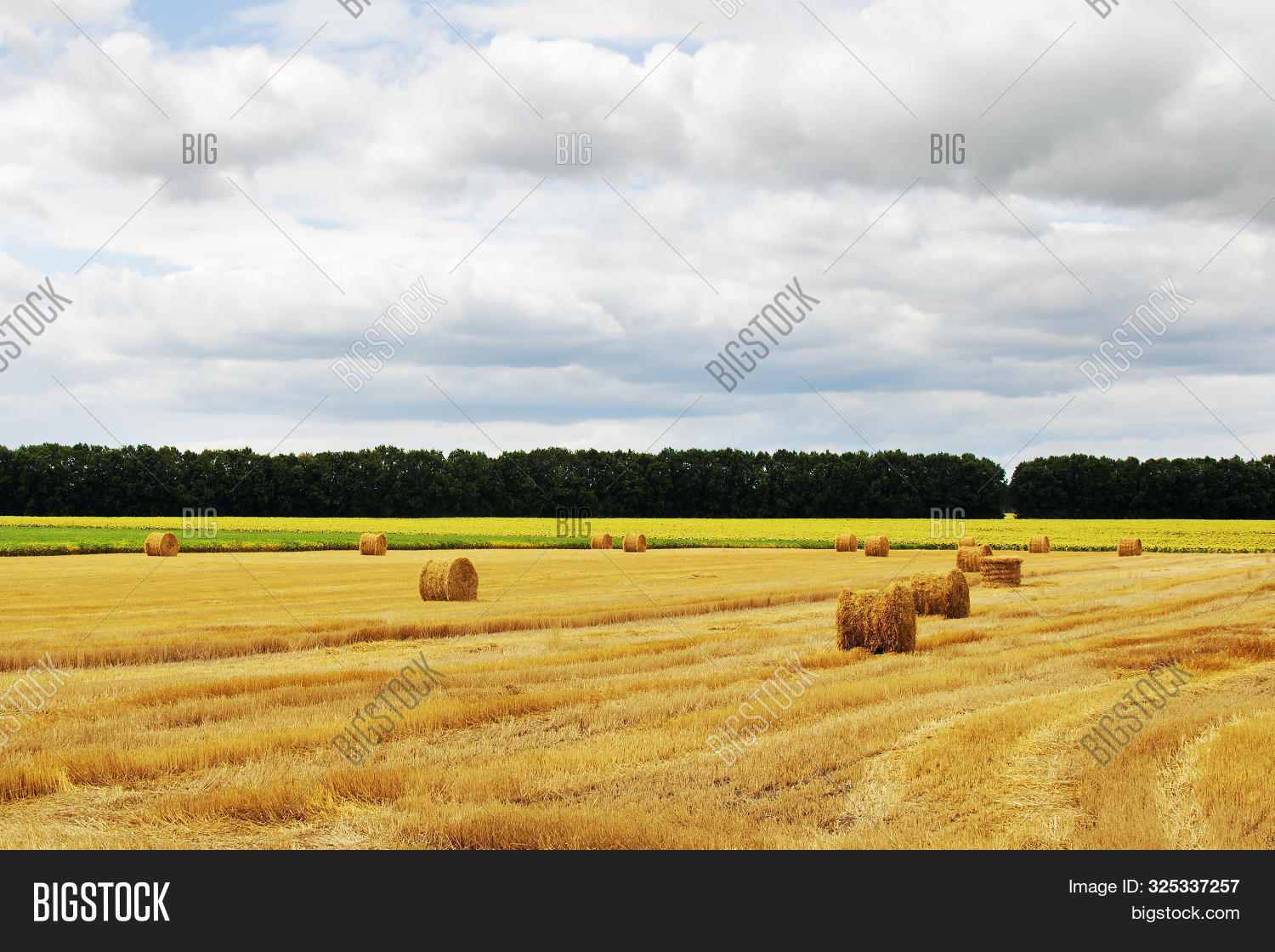 Haystack Harvest Image & Photo (Free Trial) | Bigstock