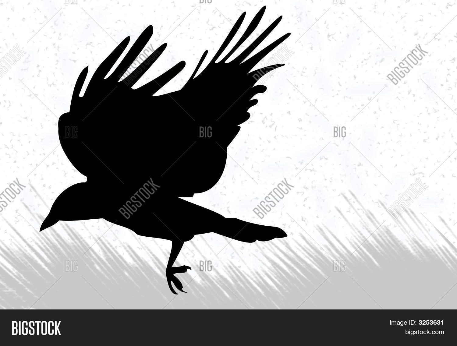 Crow Silhouette Image & Photo (Free Trial) | Bigstock