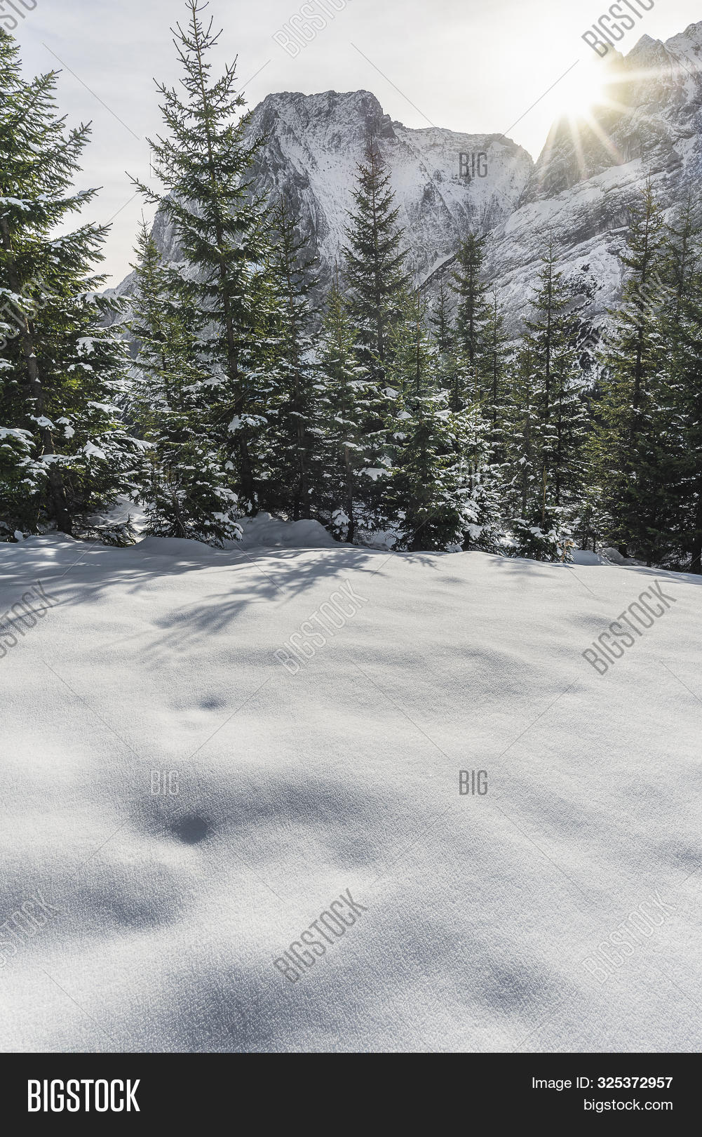 Winter Scene Austrian Image & Photo (Free Trial) | Bigstock