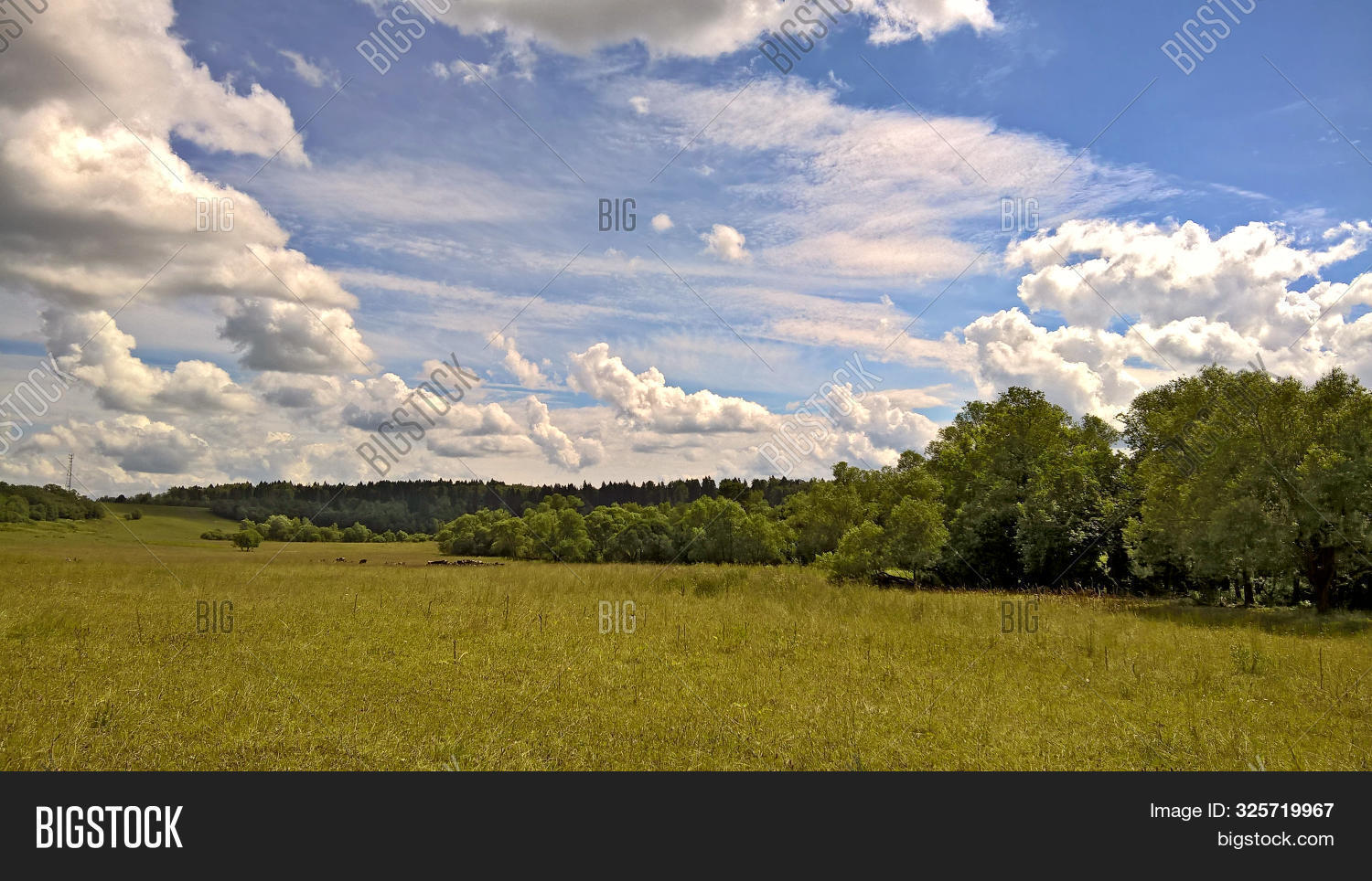 Rural Nature Landscape Image & Photo (Free Trial) | Bigstock