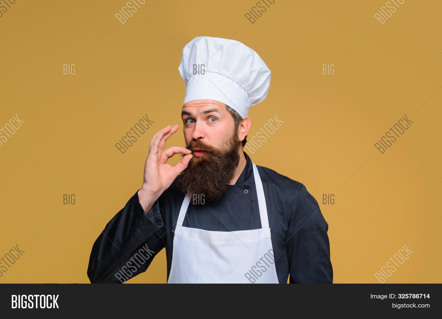 Imagen y foto Cook Baker Perfect (prueba gratis) | Bigstock