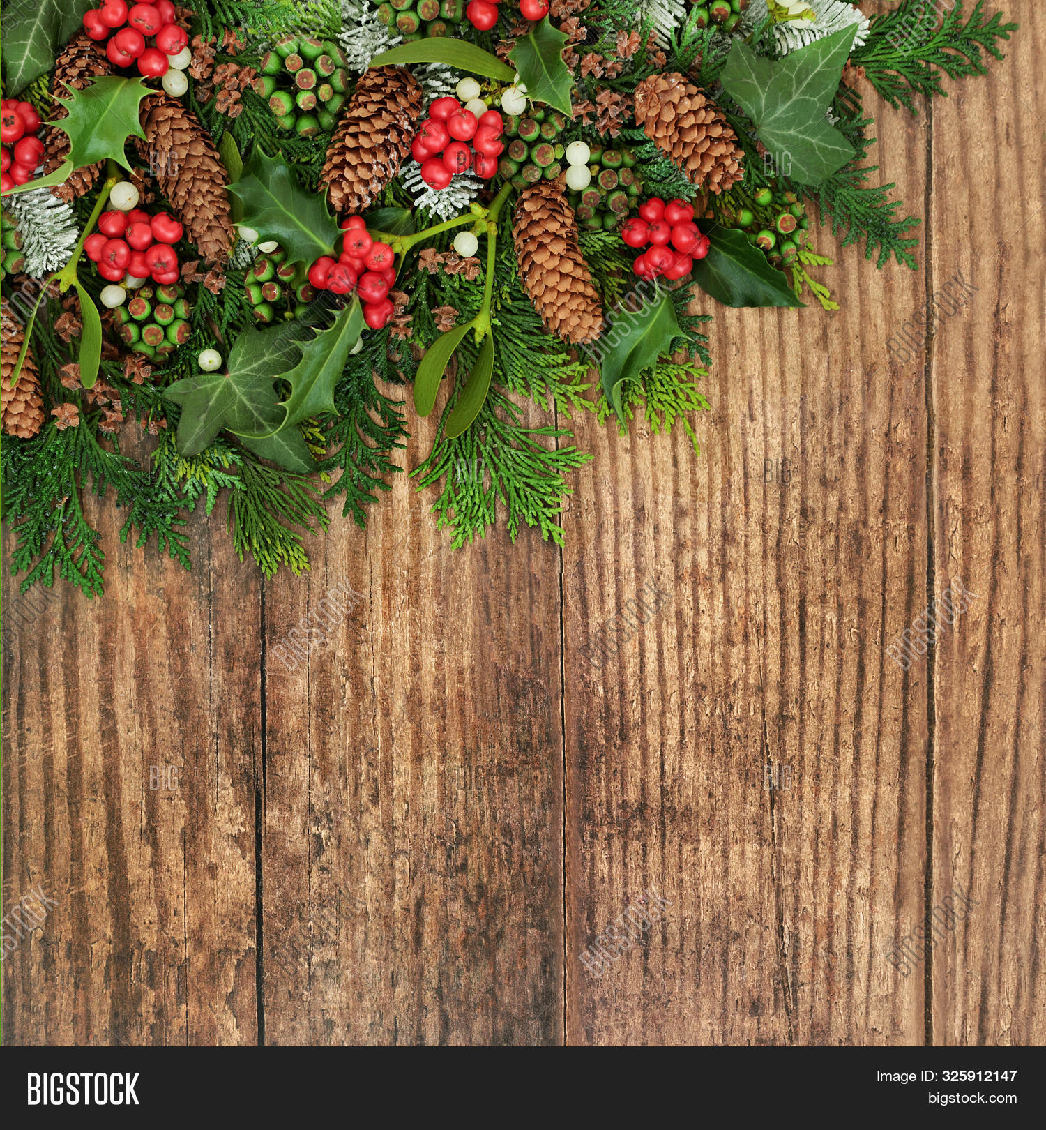 Winter Flora Rustic Image & Photo (Free Trial) | Bigstock