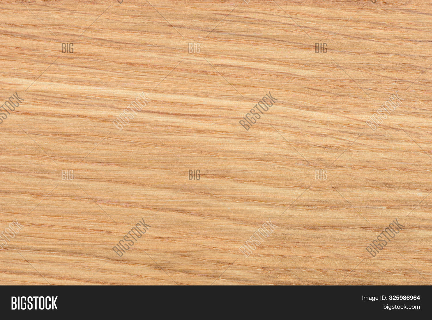 Background Texture Ash Image & Photo (Free Trial) | Bigstock
