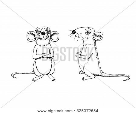 Sketch Rat. Cartoon Vector & Photo (Free Trial) | Bigstock