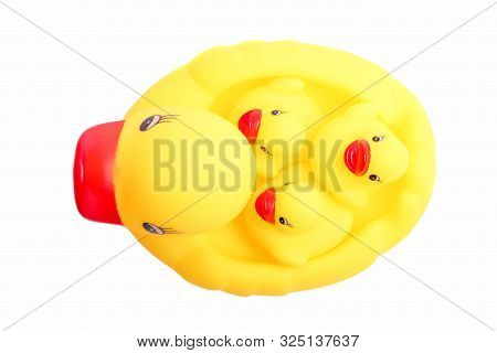 Rubber Duck Top View Images, Illustrations & Vectors (Free) - Bigstock