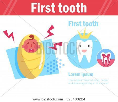 Babys First Tooth Vector & Photo (Free Trial) | Bigstock