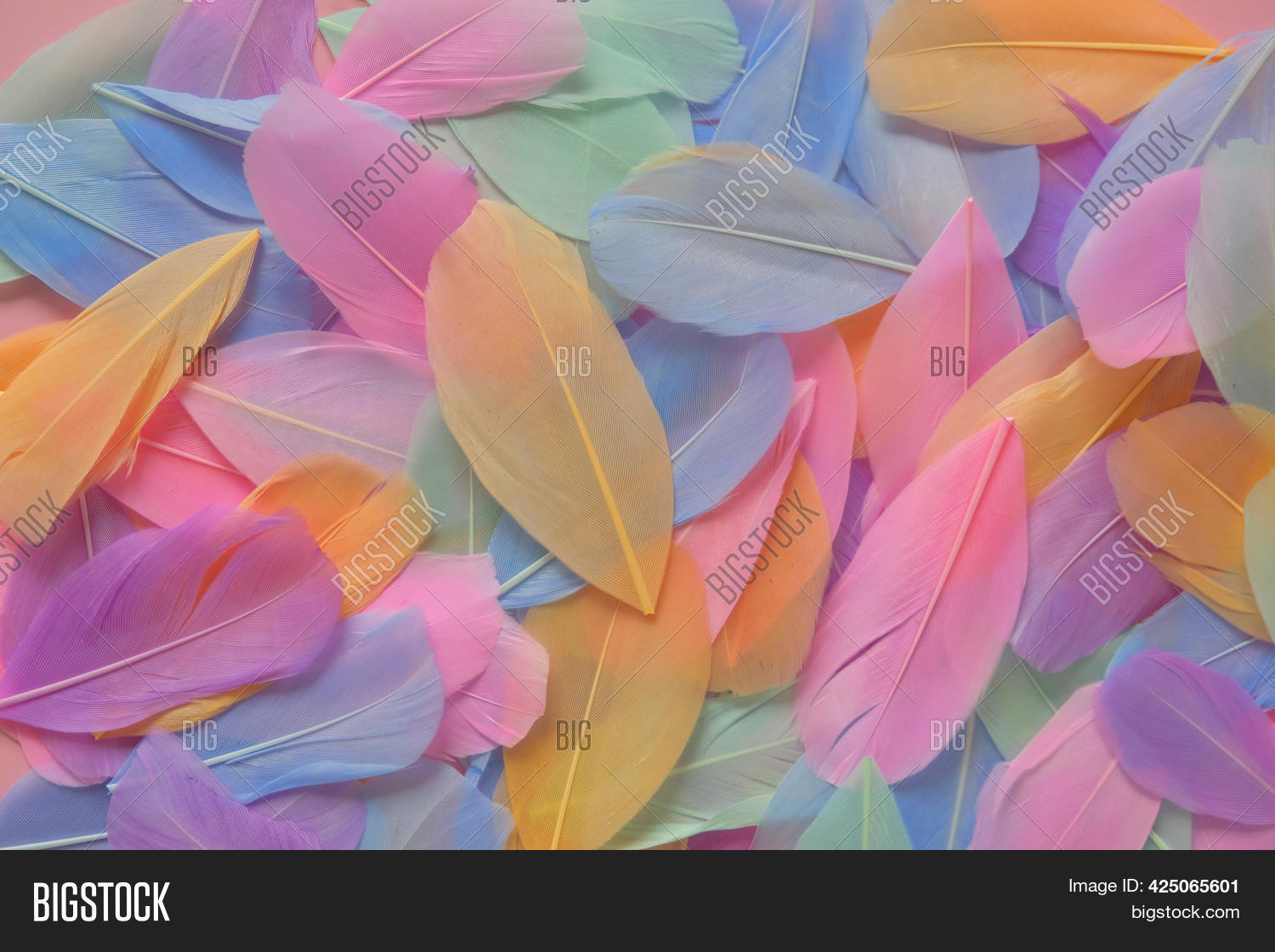 Multicolored Feathers Image & Photo (Free Trial) | Bigstock