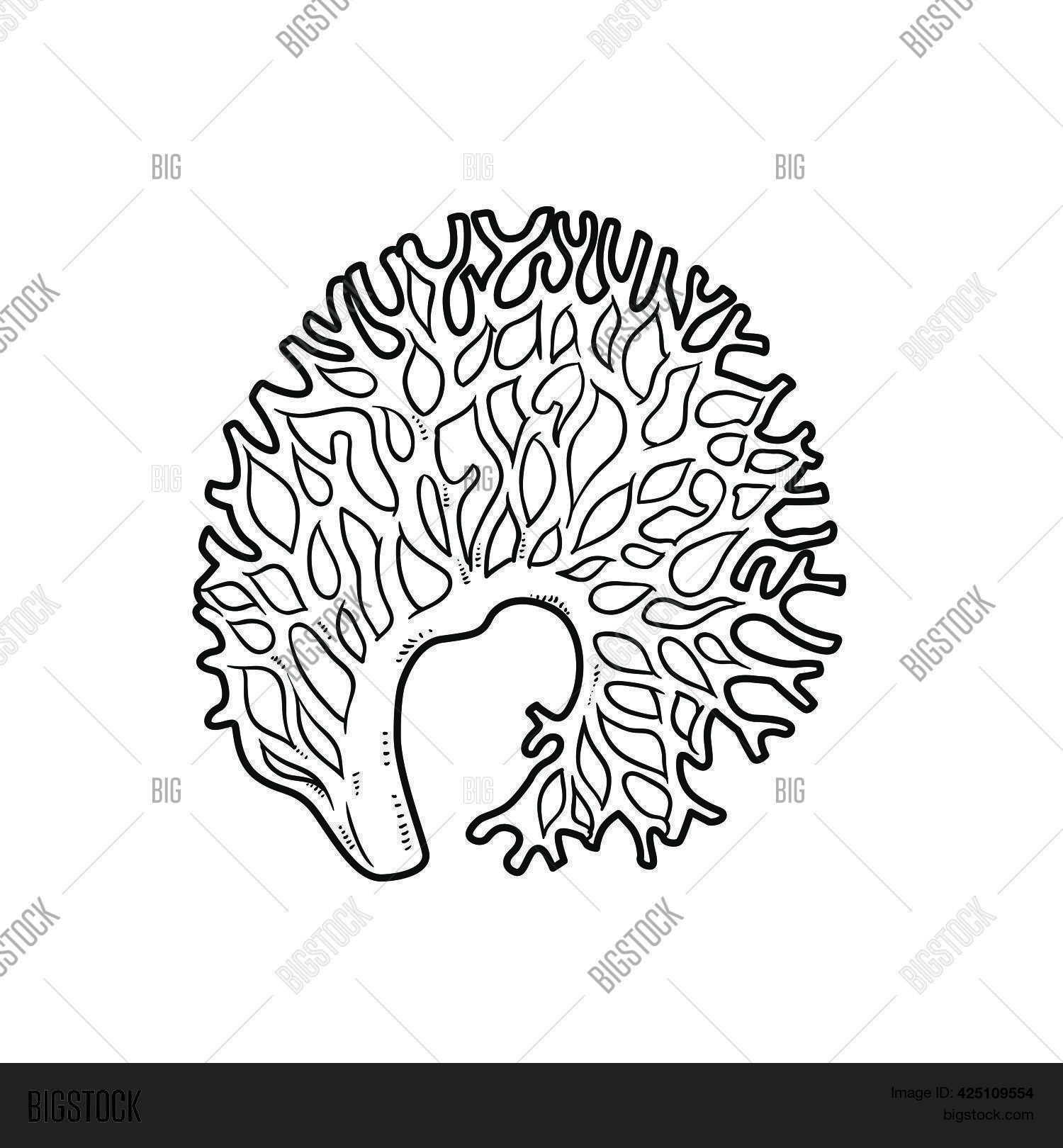 Rounded Coral Vector & Photo (Free Trial) | Bigstock