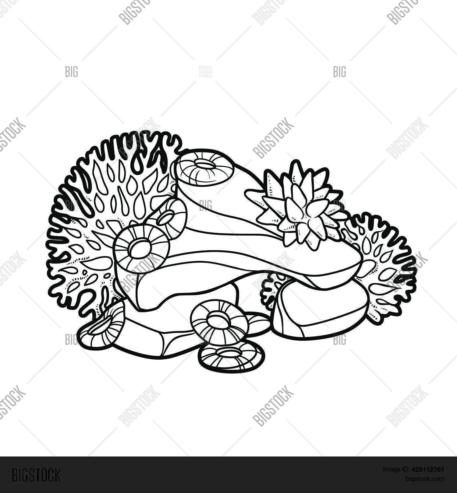 Stone Growing Corals Vector & Photo (Free Trial) | Bigstock