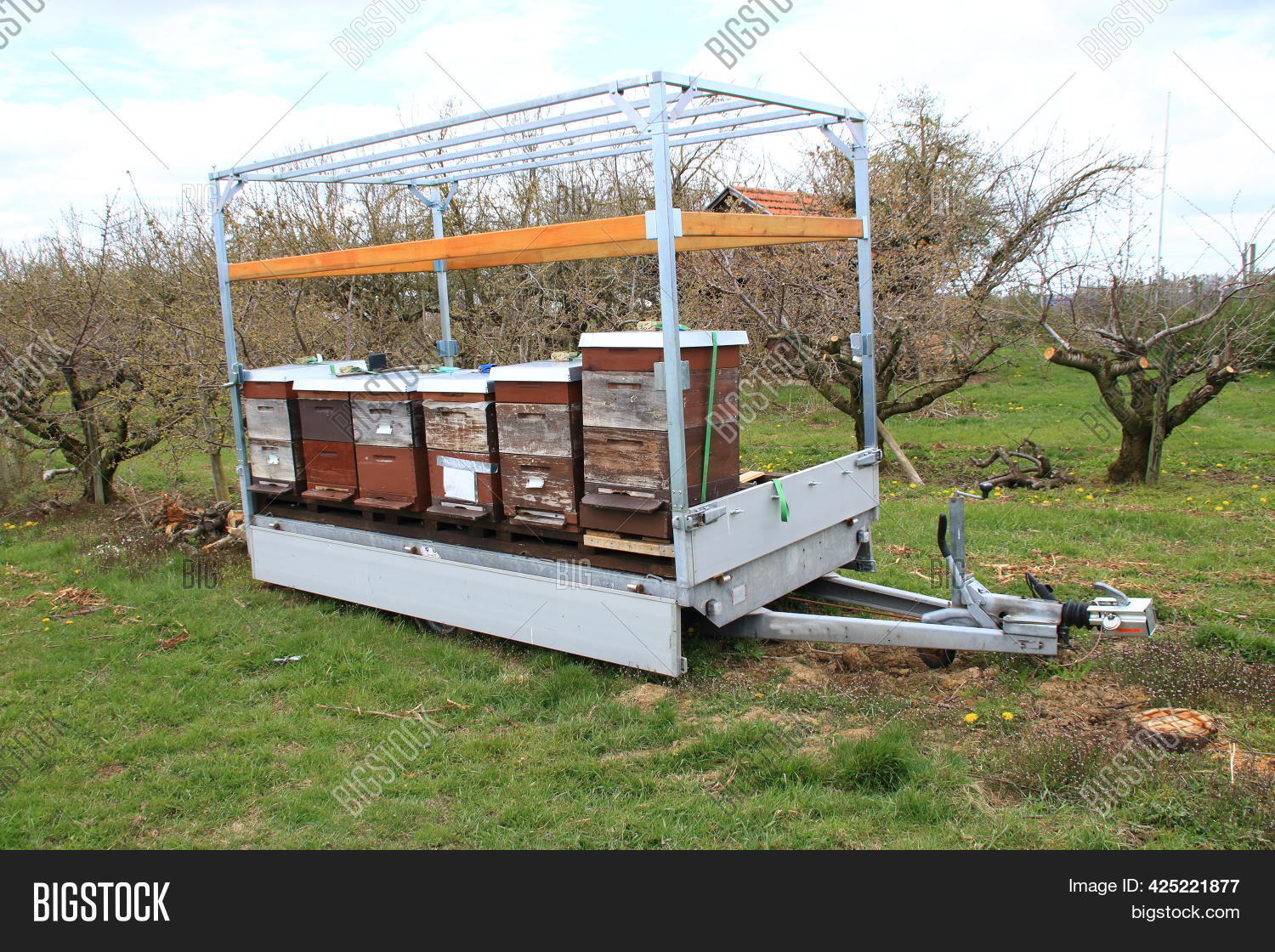 Beehives Were Placed Image & Photo (Free Trial) | Bigstock