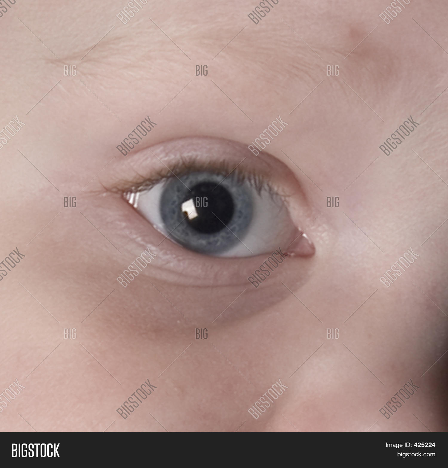 Baby Blue Eye Image & Photo (Free Trial) | Bigstock