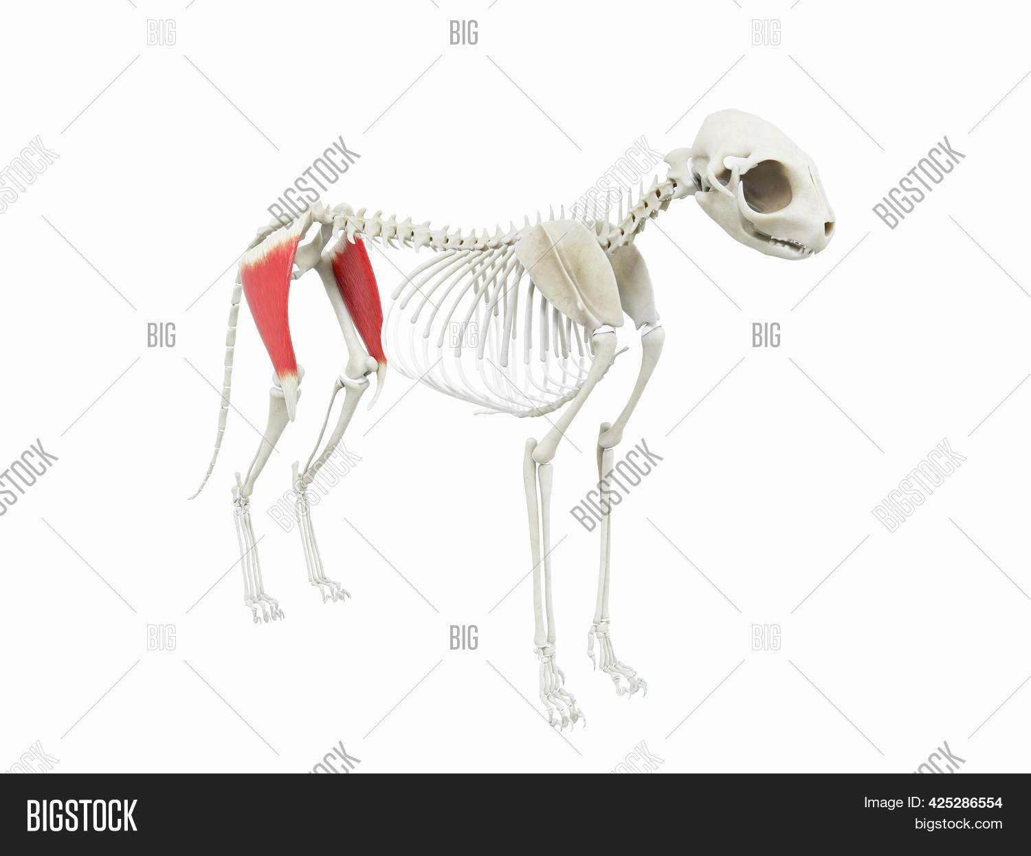 3d Rendered Image & Photo (Free Trial) | Bigstock